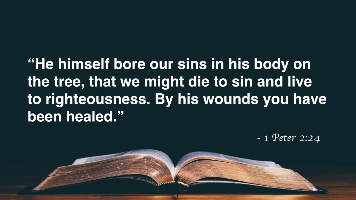 Your Daily Bible Verses — 1 Peter 2:24 — Integrated Catholic Life™