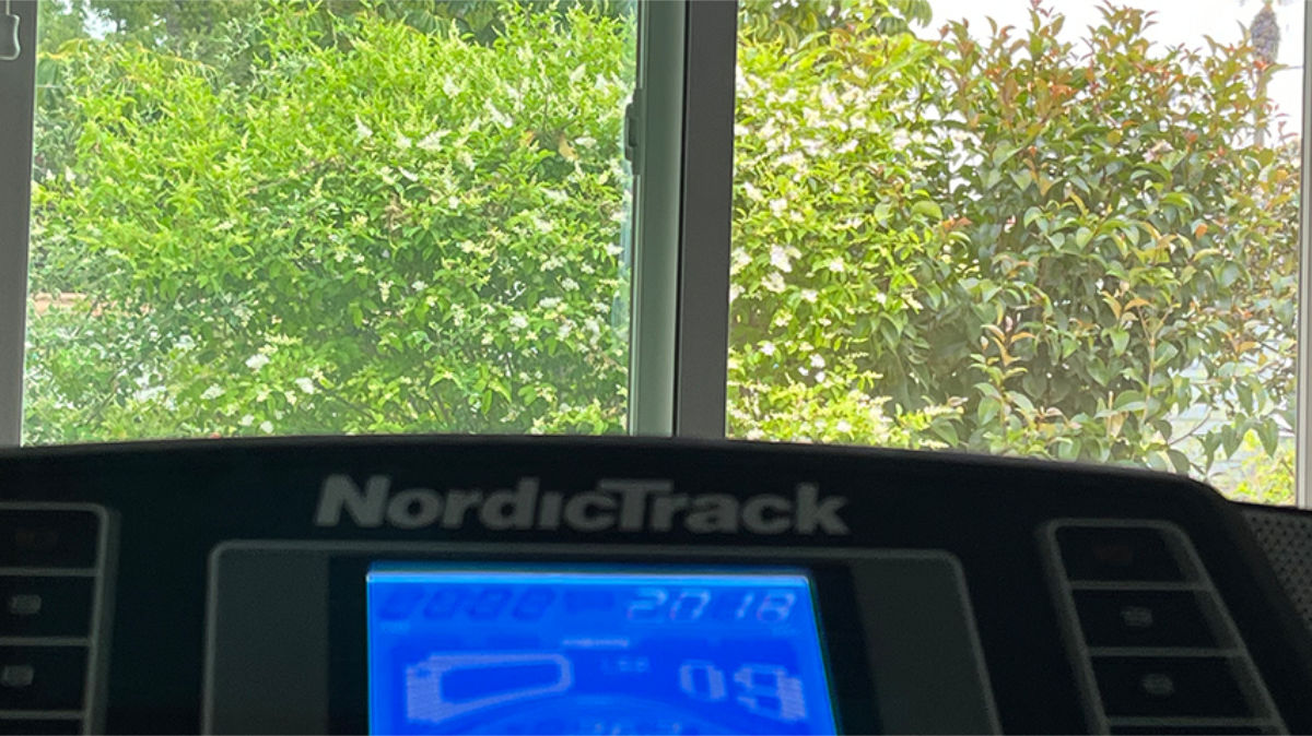 Depth Perception — Integrated Catholic Life™