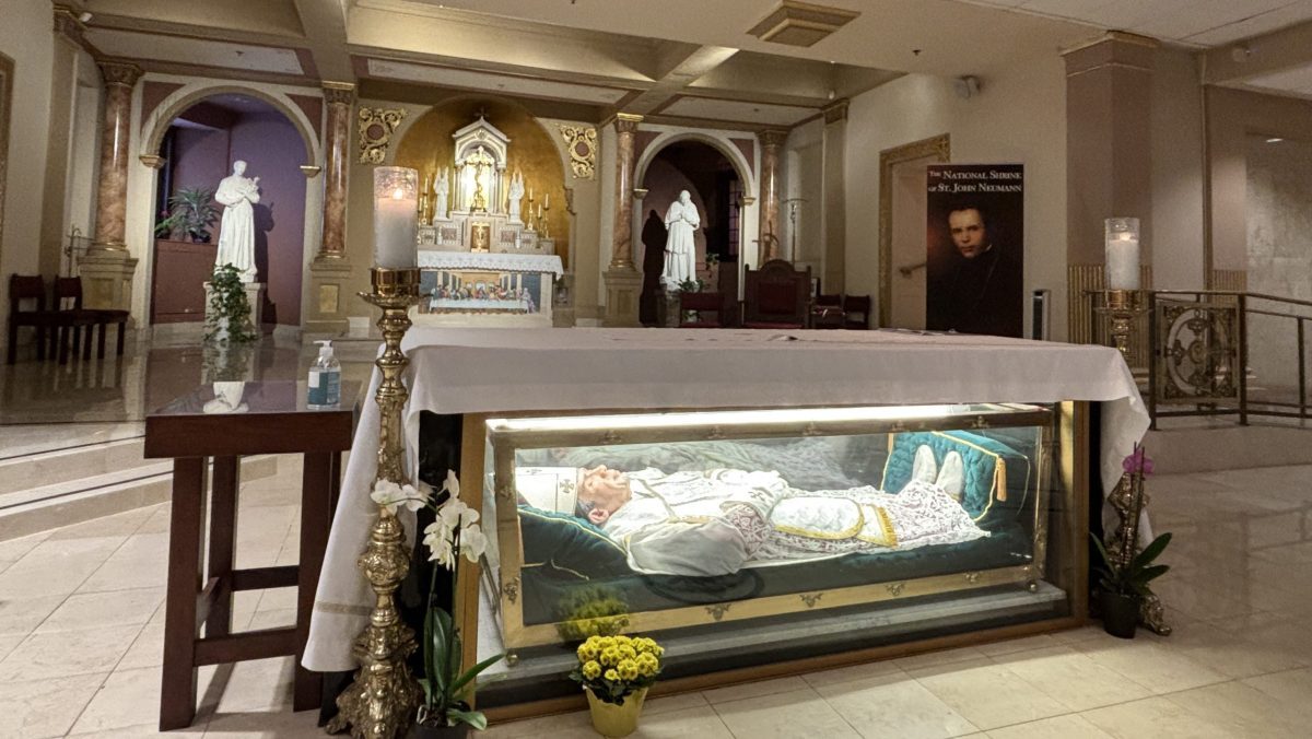 The Bishop We Need — Integrated Catholic Life™