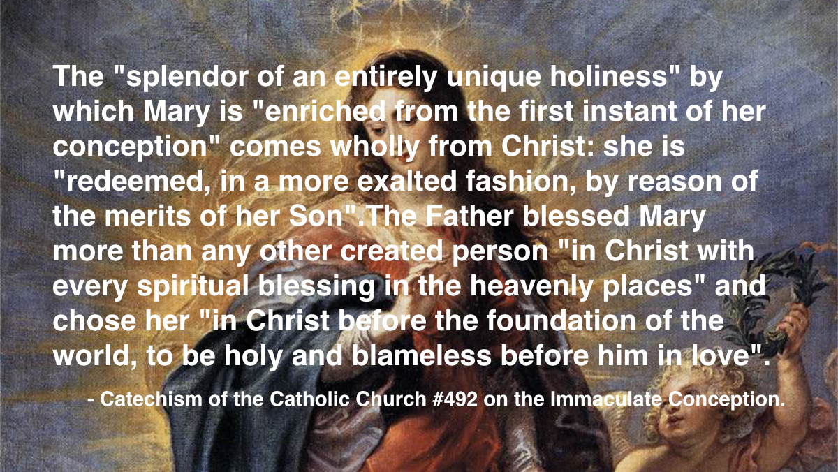 Daily Quote—Immaculate Conception — Integrated Catholic Life™