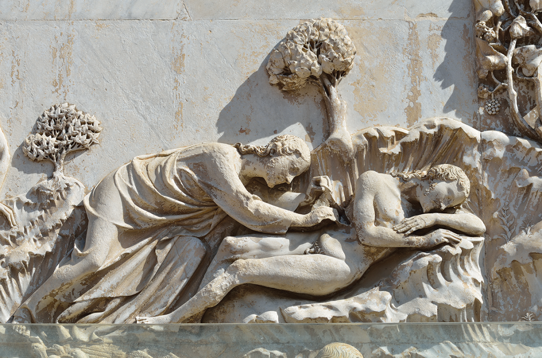 Adam's Ribs — Integrated Catholic Life™