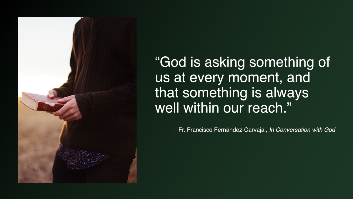 Daily Catholic Quote — Fr. Francisco Fernández-Carvajal — Integrated ...
