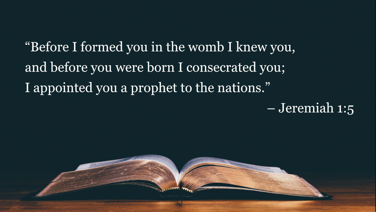 Your Daily Bible Verses — Jeremiah 1:5 — Integrated Catholic Life™