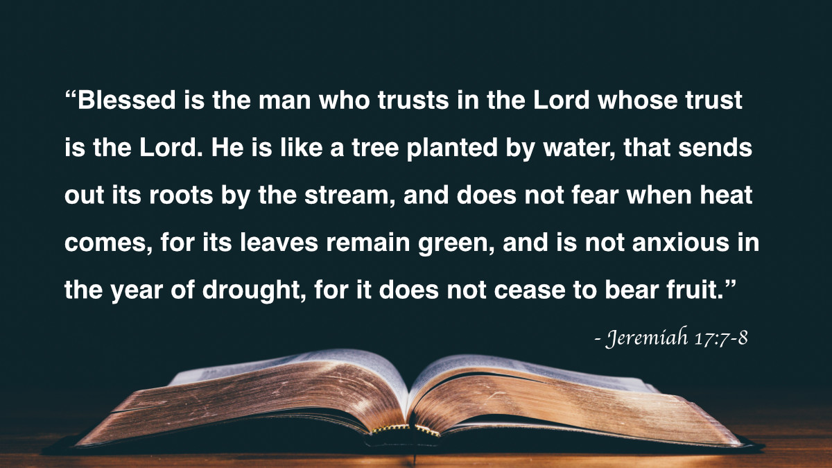 Your Daily Bible Verses — Jeremiah 17:7-8 — Integrated Catholic Life™