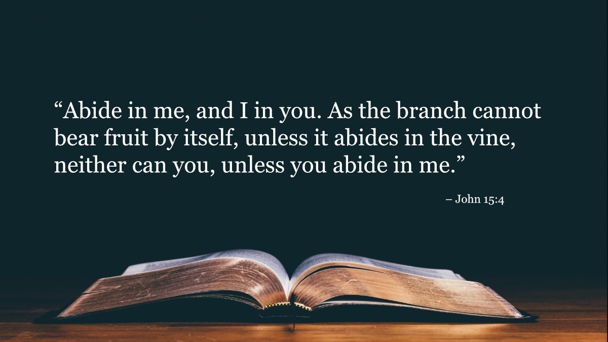 Your Daily Bible Verses — John 15:4 — Integrated Catholic Life™