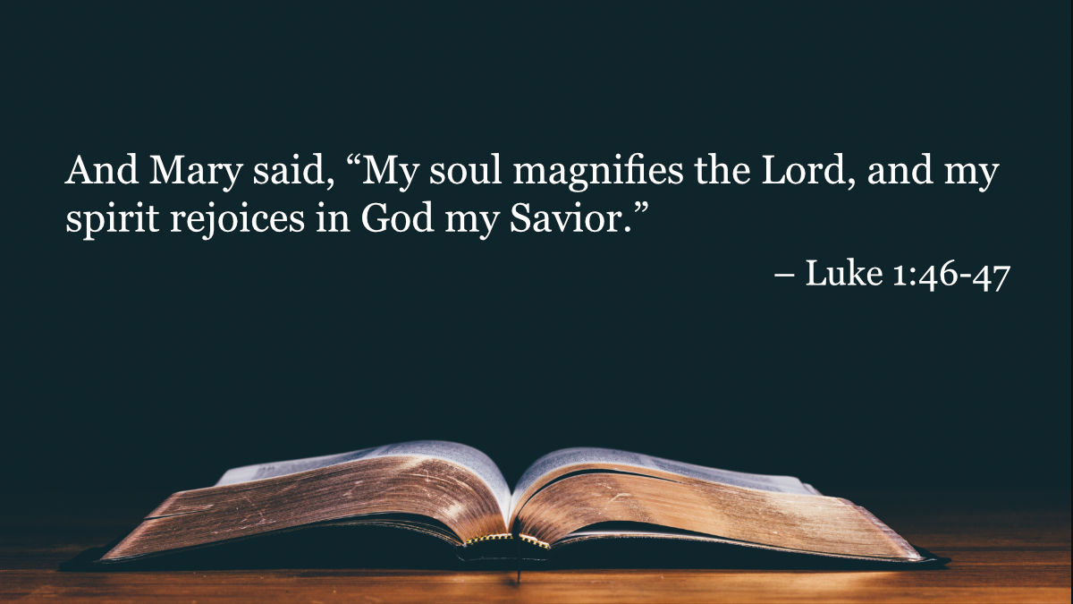 Your Daily Bible Verses Luke 1 46 47 Integrated Catholic Life 