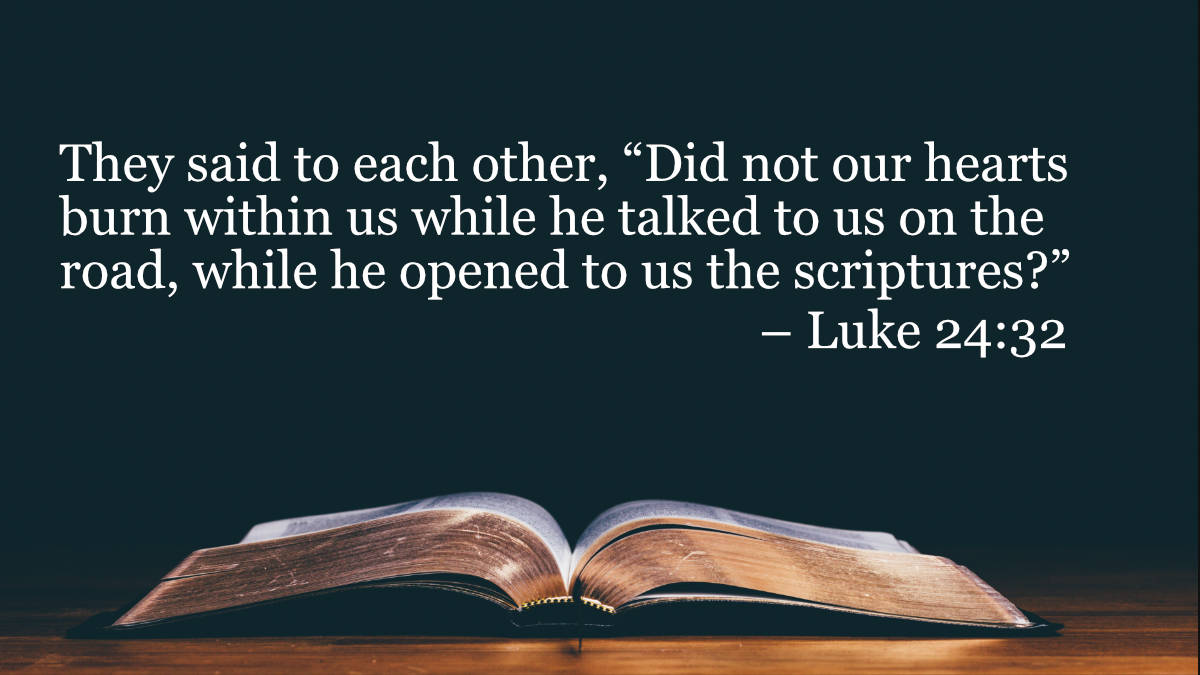 Your Daily Bible Verses Luke 24 32 Integrated Catholic Life 