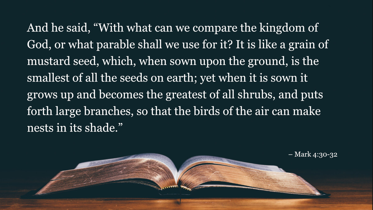 Your Daily Bible Verses — Mark 4:30-32 — Integrated Catholic Life™