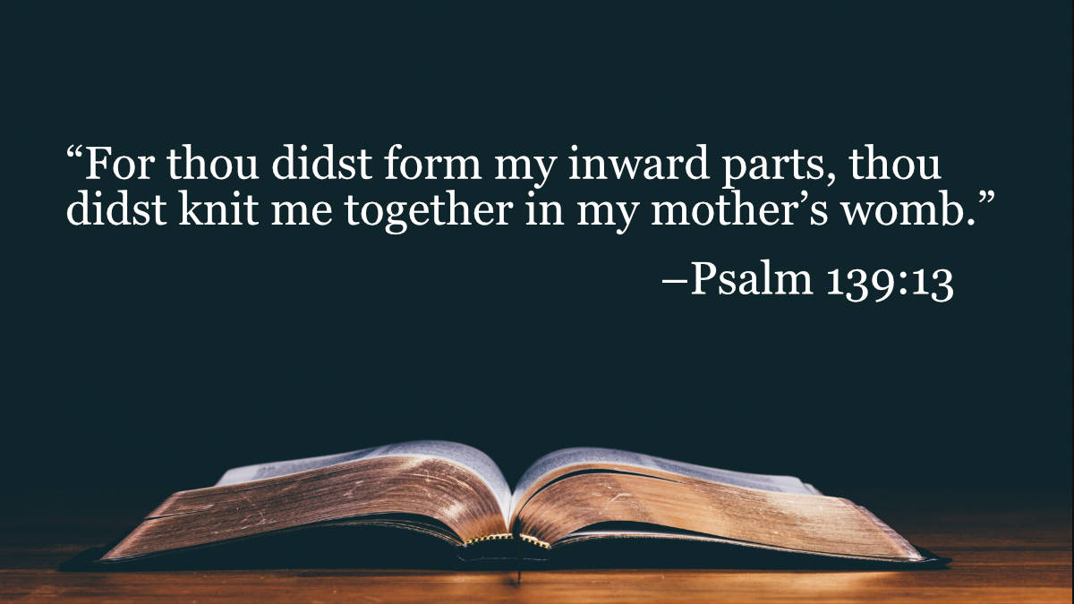 Your Daily Bible Verses — Psalm 139:13 — Integrated Catholic Life™